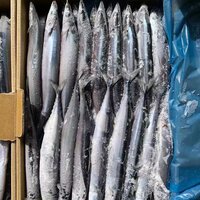 Whole Round Frozen Sanma Fish Available . Order Now at Best Price in ...