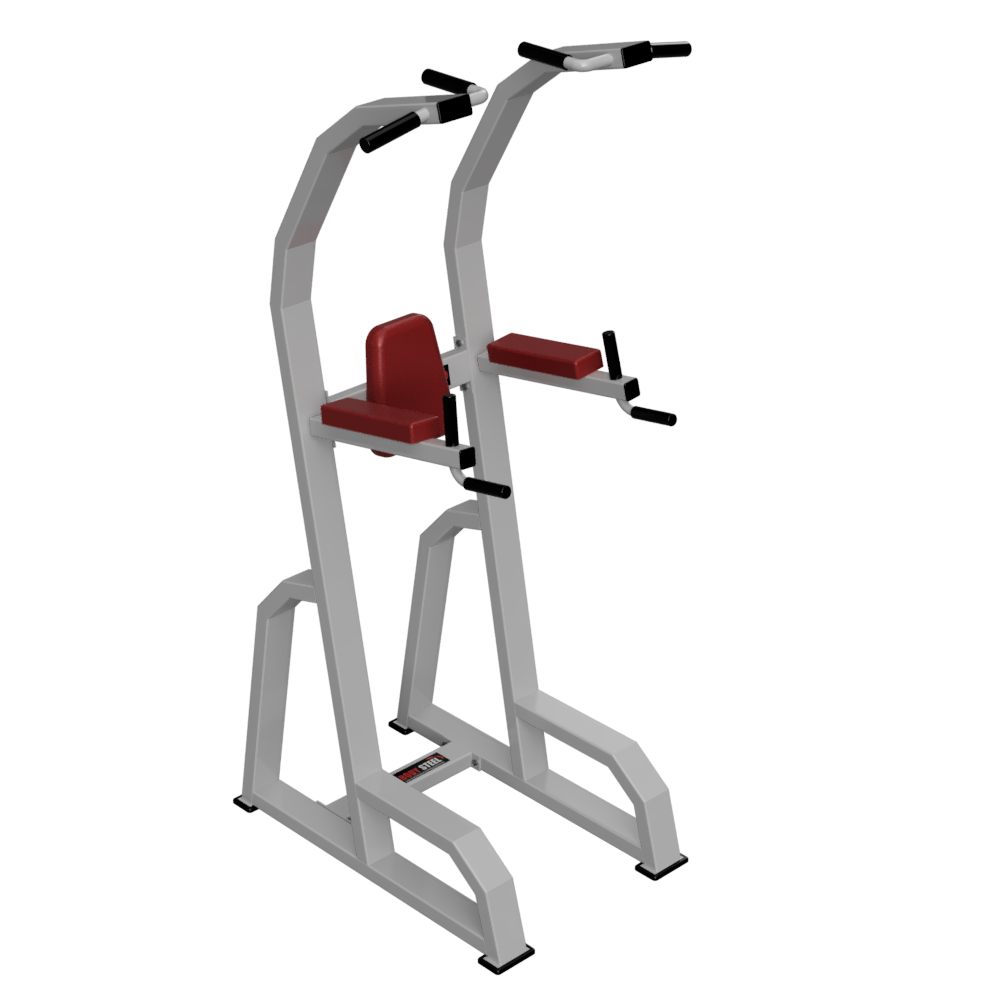 Vertical Knee Up Ab Dip Chin - Seat Color: Customize at Best Price in ...