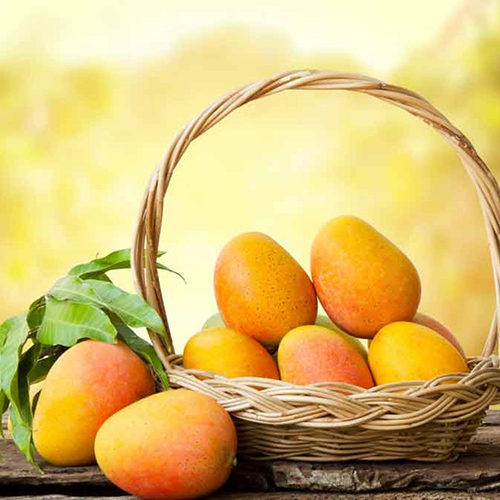 Fresh Mangoes at Best Price in Hyderabad, Telangana | Adarsh Import And ...