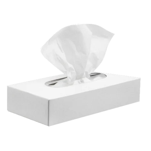 20 X 20inch Facial Tissue Paper Box - Application: Home at Best Price ...