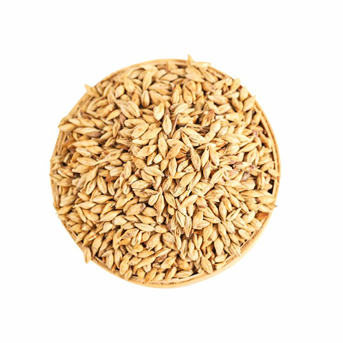 Whole Barley - Granular Form, Fresh Style, 5-10 Months Shelf Life ...