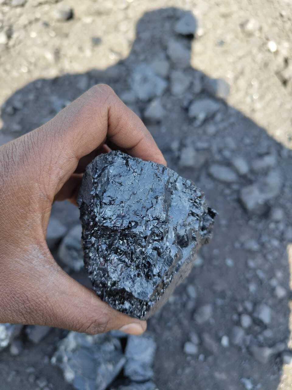 Indonesian Coal at 9700.00 INR in Mumbai, Maharashtra | Shree Ganesh ...