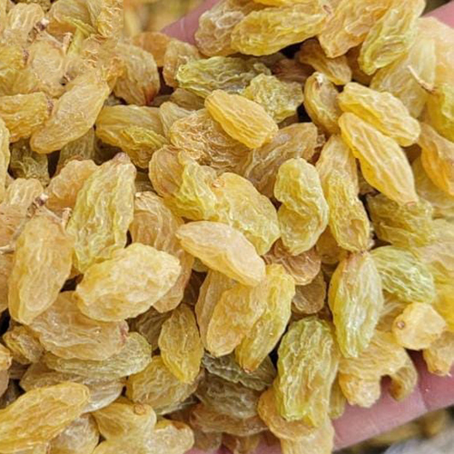 Dry Kismis - Cultivation Type: Common at Best Price in Morbi | Nbp ...